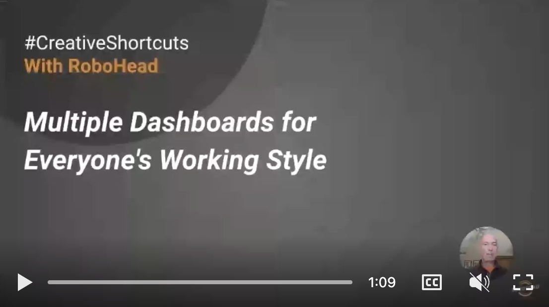See It Your Way: Leveraging Flexible Views in RoboHead - RoboHead
