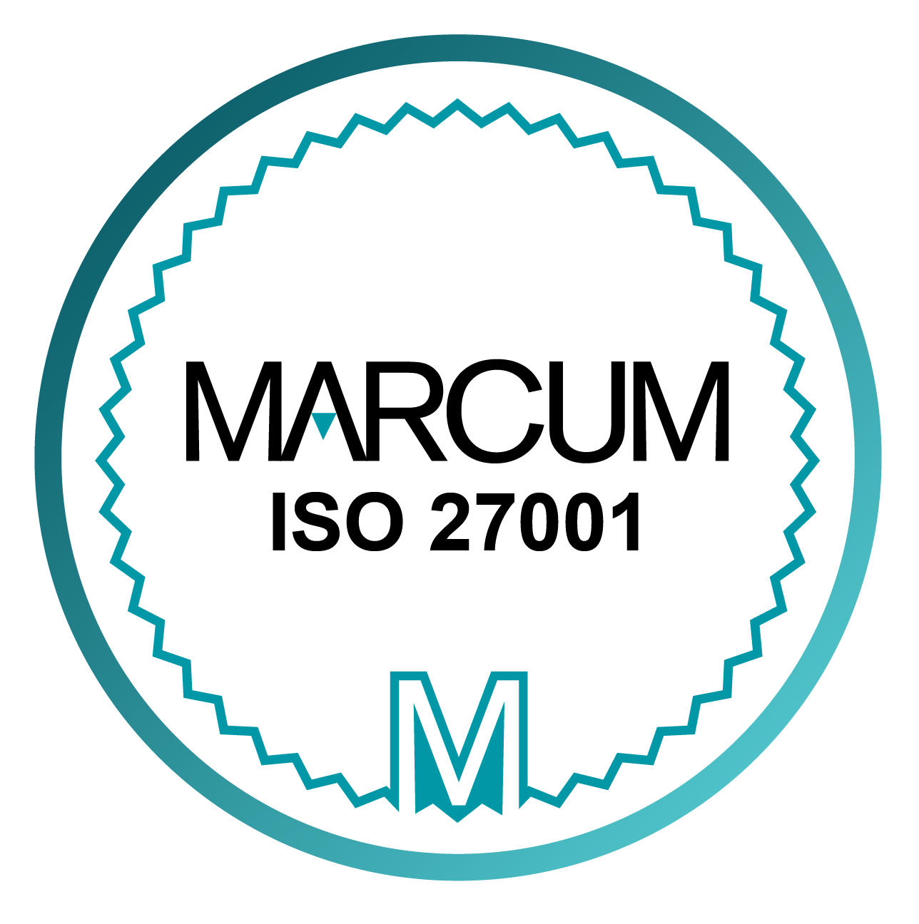 Security Overview - RoboHead